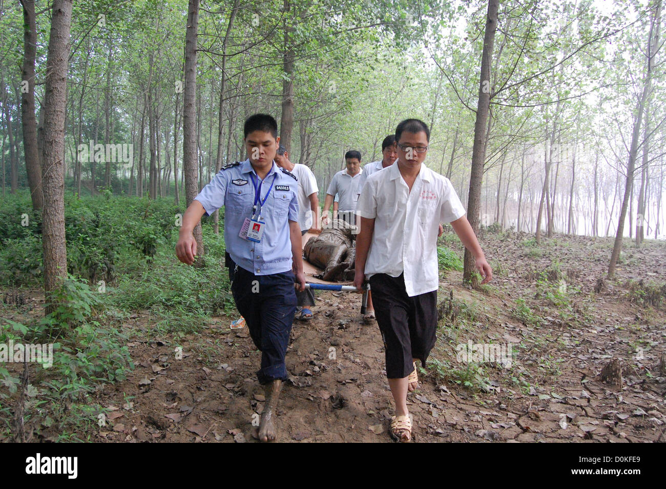 Woman saved from mud pit An elderly woman suffering from dementia was ...