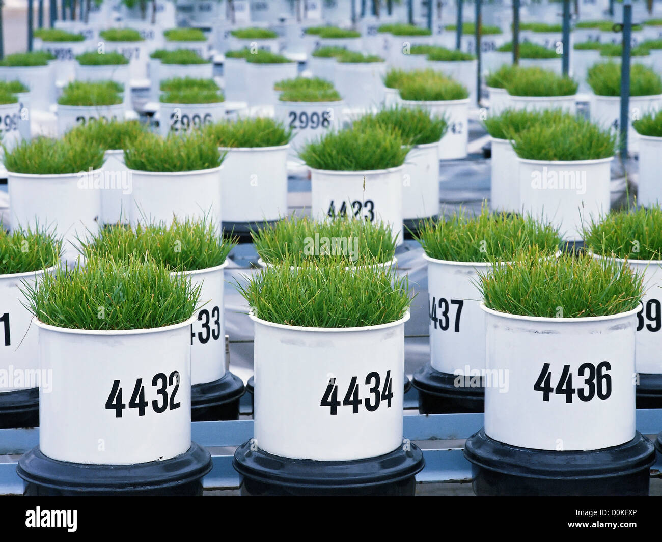 Testing pots hi-res stock photography and images - Alamy