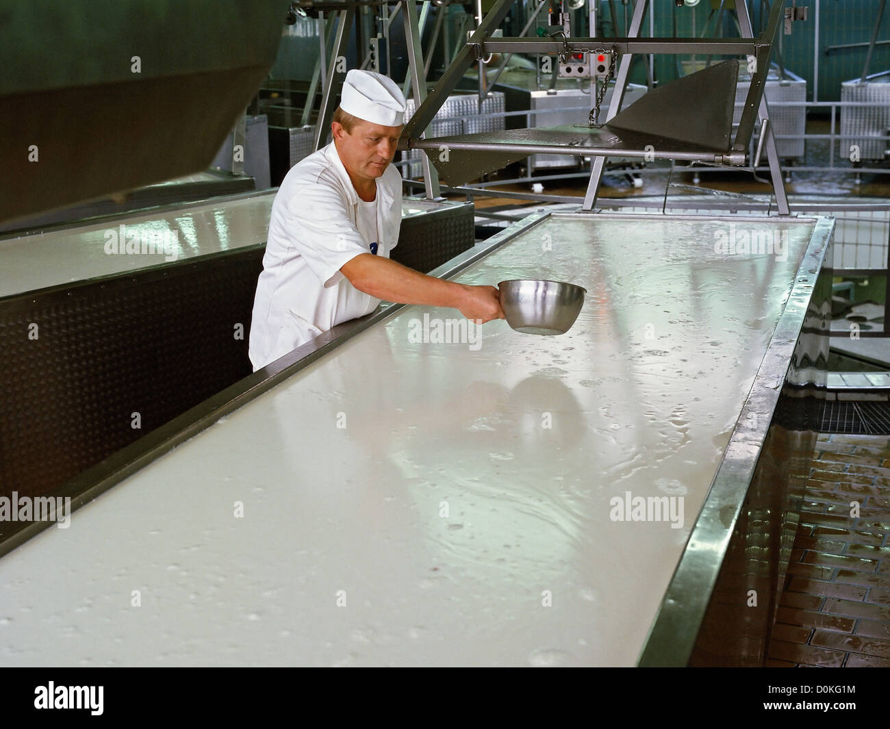 A cheesemaker adding rennet to milk in order to make cheese Stock Photo ...