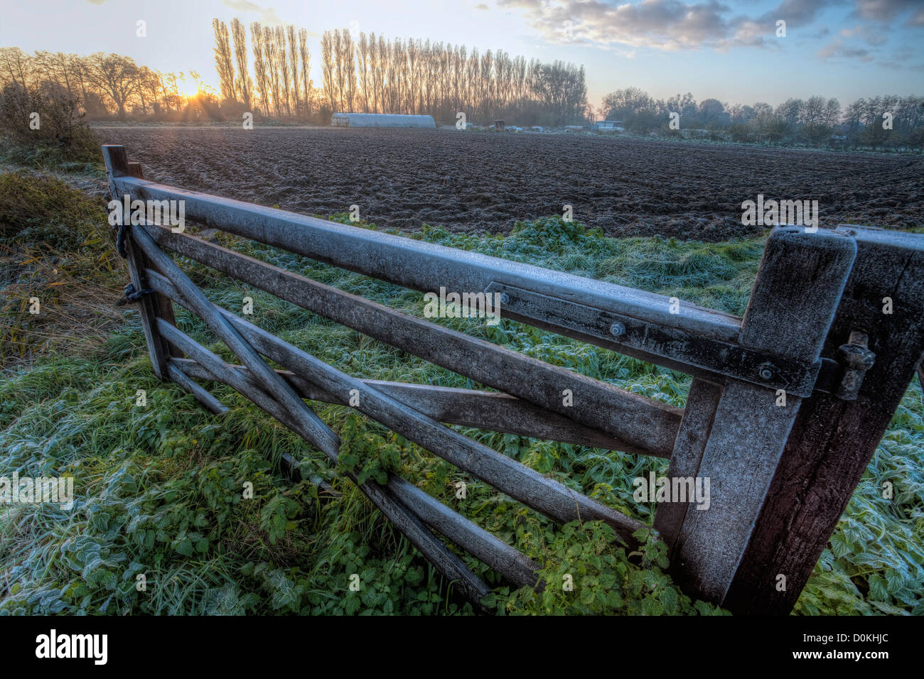 Sunrise behind a frost covered gate Stock Photo - Alamy