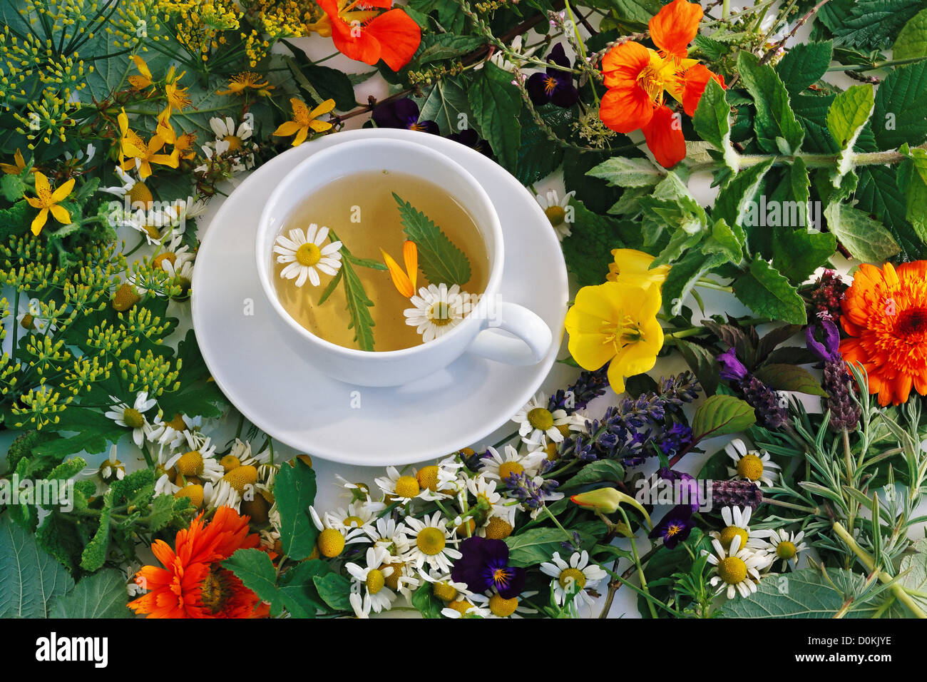 A cup of herbal tea among fresh herbs Stock Photo - Alamy