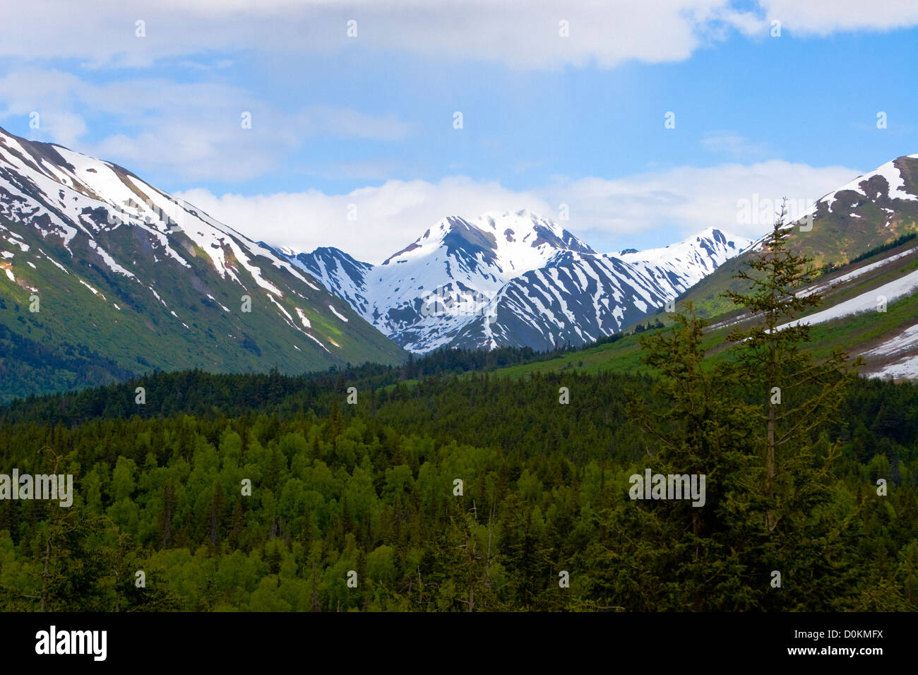 Seward alaska mountain hi-res stock photography and images - Alamy
