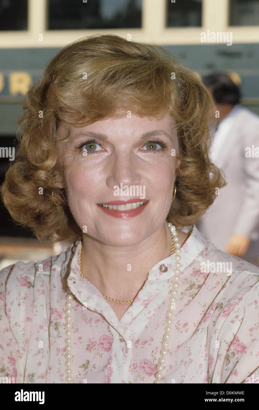 Winmill hi-res stock photography and images - Alamy