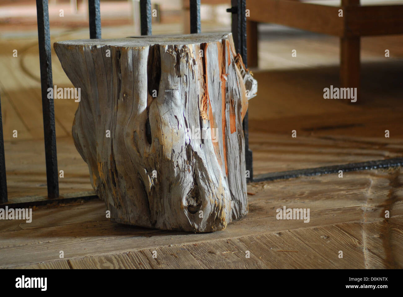 Tree stump and feature hi-res stock photography and images - Alamy
