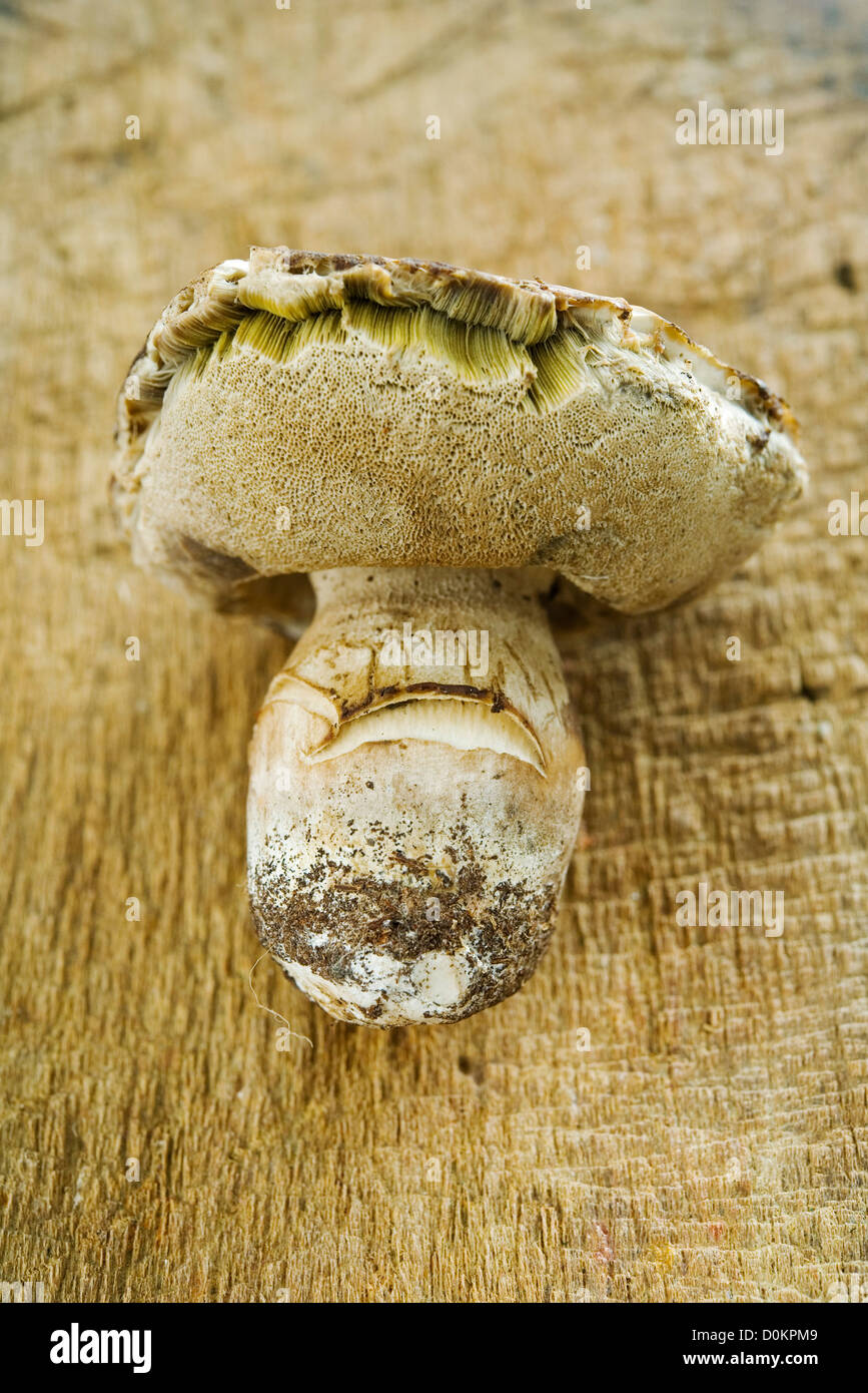 Photoalto hi-res stock photography and images - Alamy