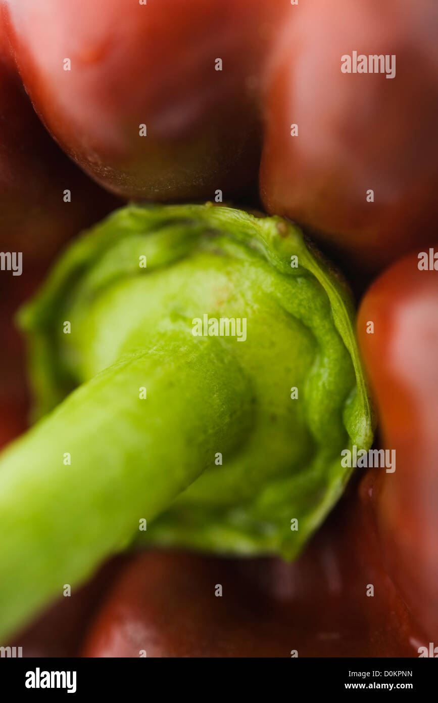 S pepper hi-res stock photography and images - Alamy