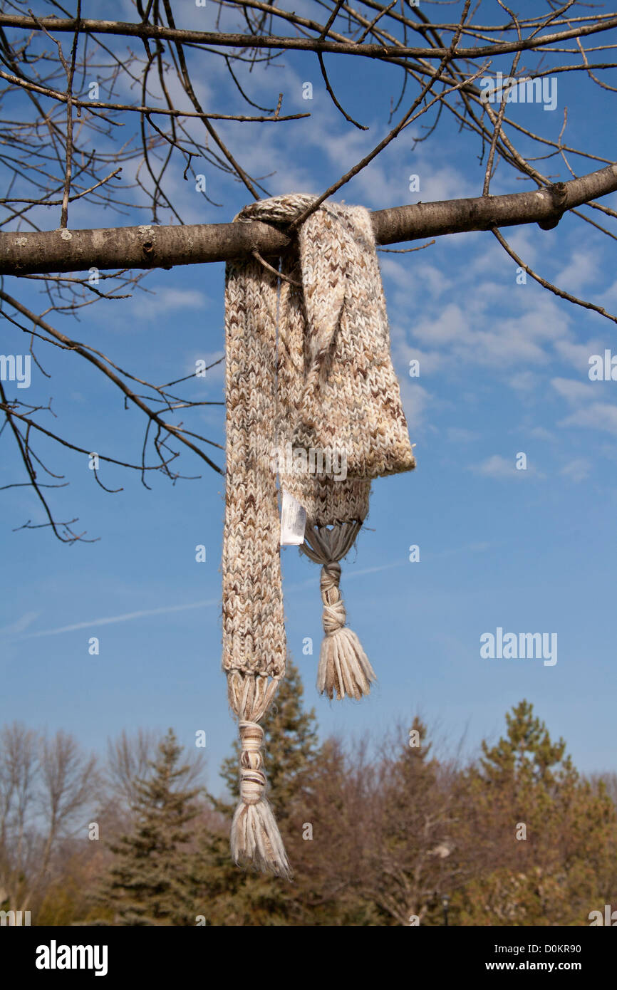 Scarf hanging in a tree during Winter Stock Photo - Alamy