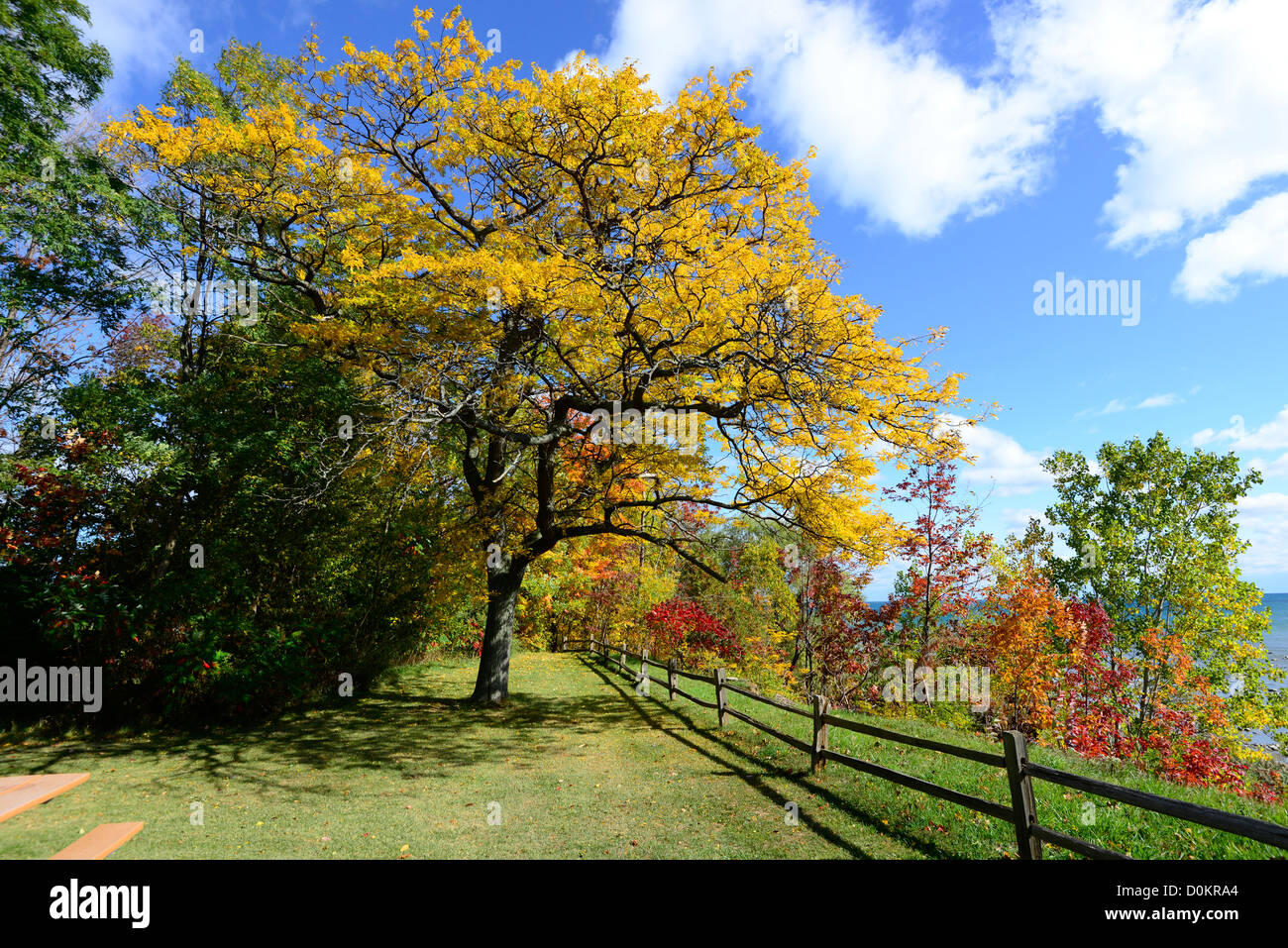 Fenced shoreline with colorful fall leaves autumn trees Michigan Stock ...