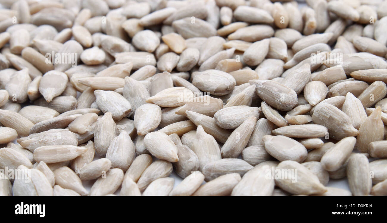 Big amount of sunflower seeds on the background Stock Photo - Alamy