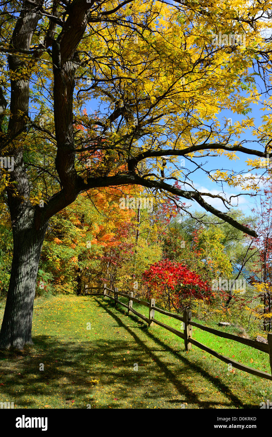 Fenced shoreline with colorful fall leaves autumn trees Michigan Stock ...