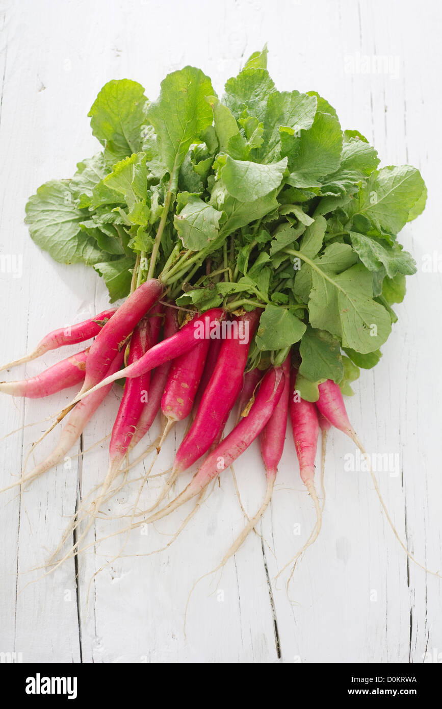 Bunch of radishes Stock Photo - Alamy