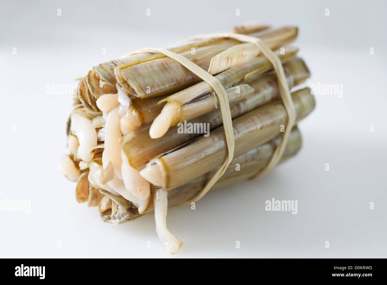 Razor shells image hi-res stock photography and images - Alamy