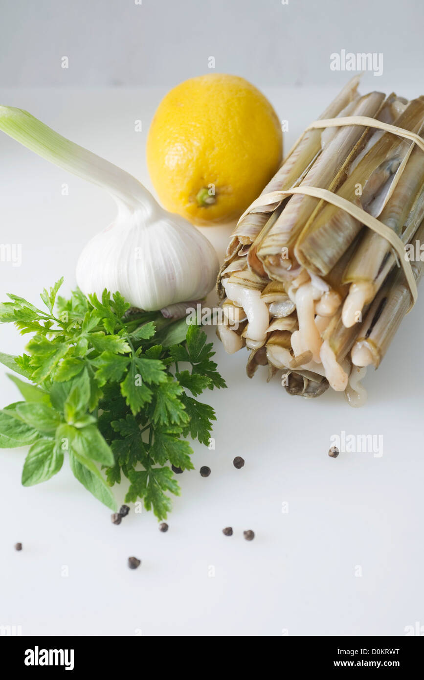 Razor clam ensis directus hi-res stock photography and images - Alamy