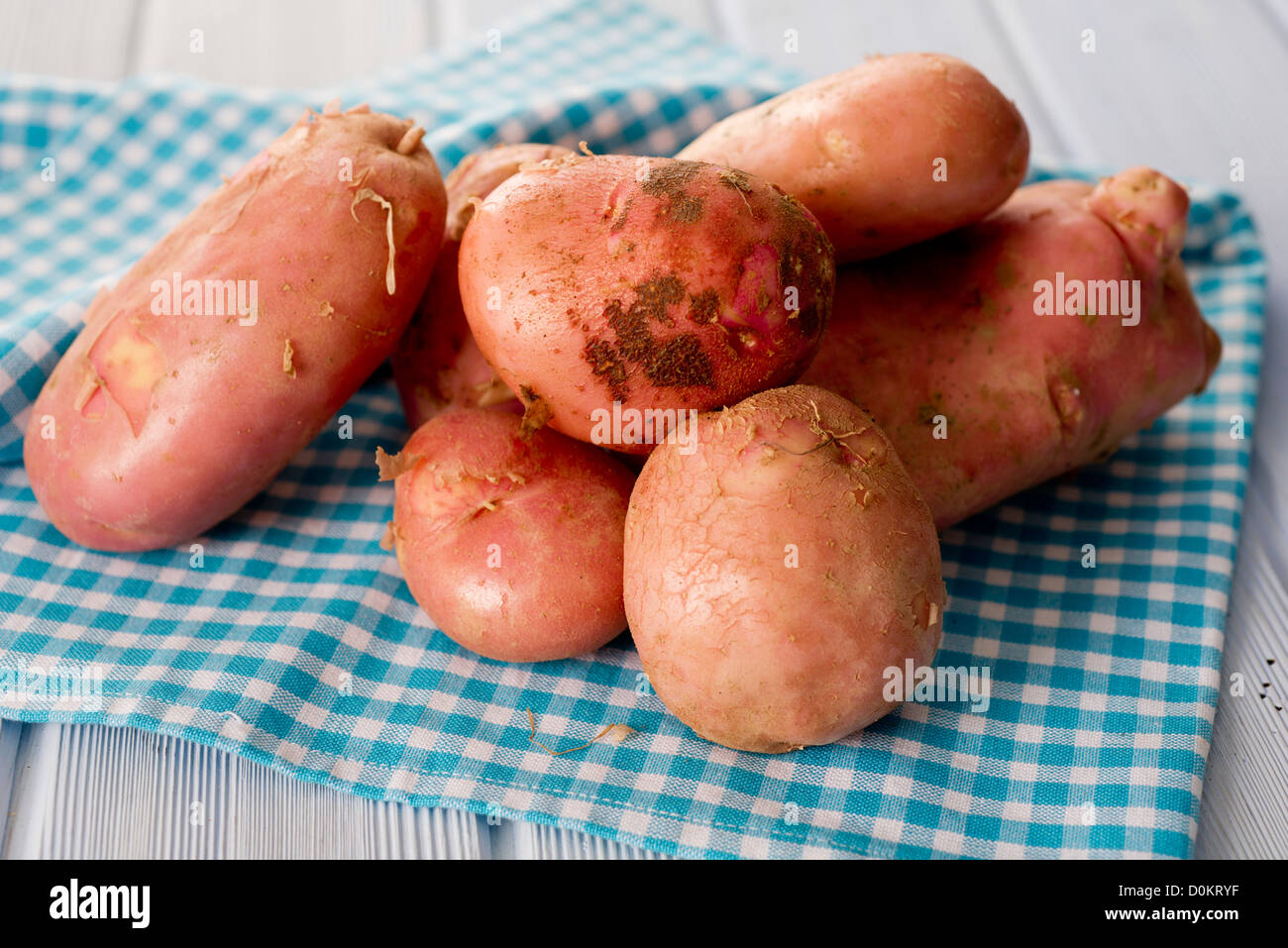Potatoes rose roseval Stock Photo - Alamy