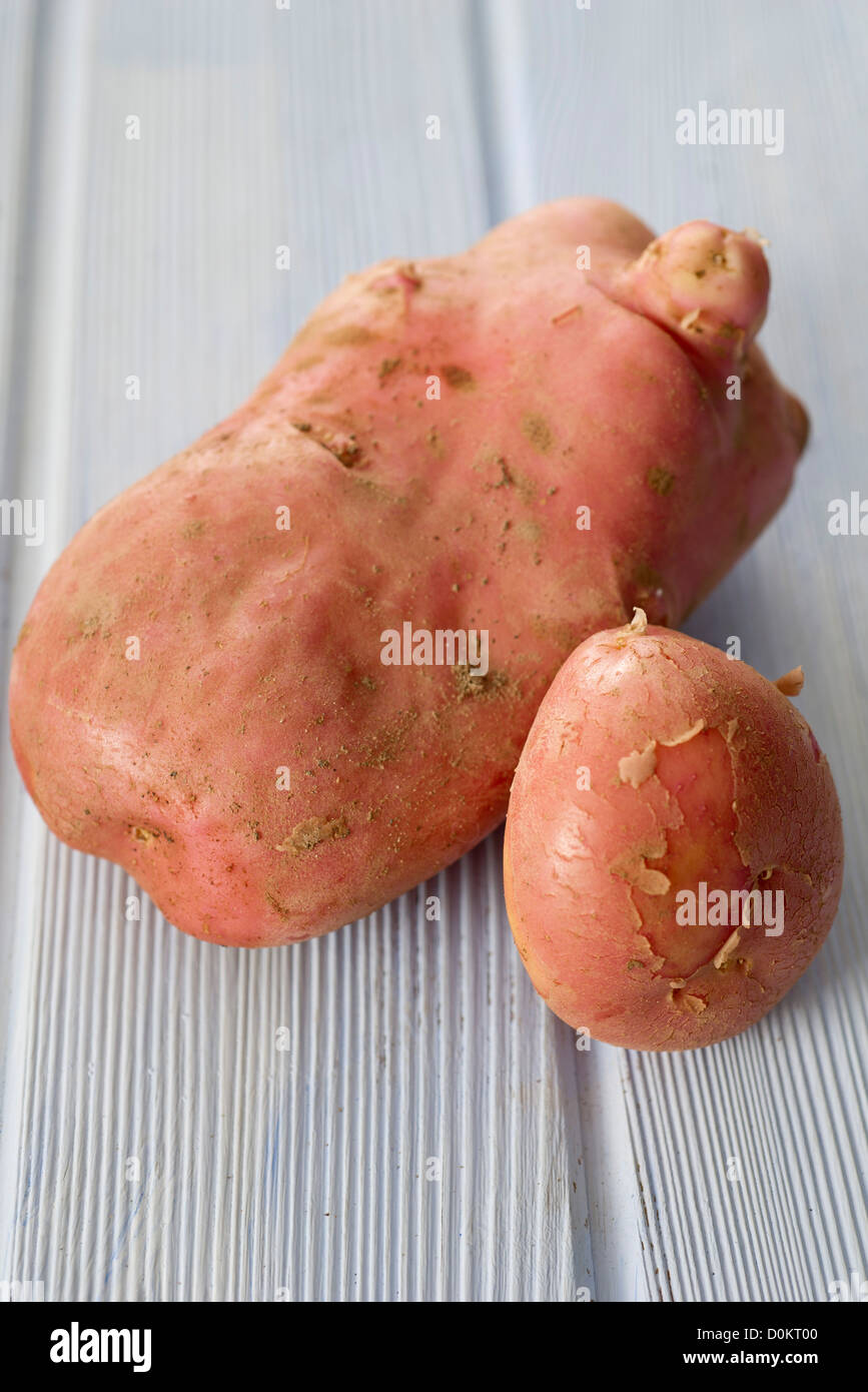 Roseval potatoes hi-res stock photography and images - Alamy