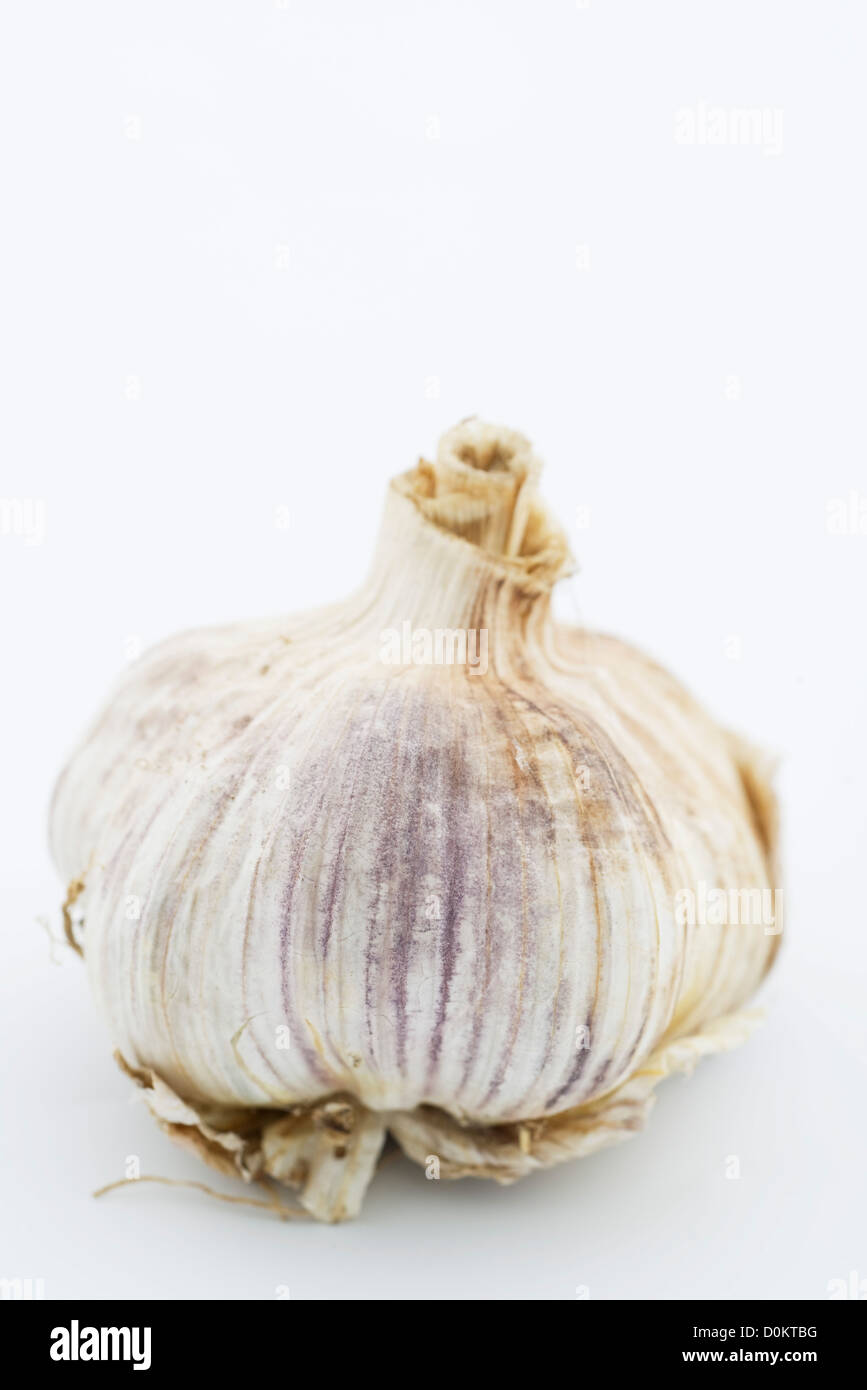 Garlic and garlic Stock Photo - Alamy