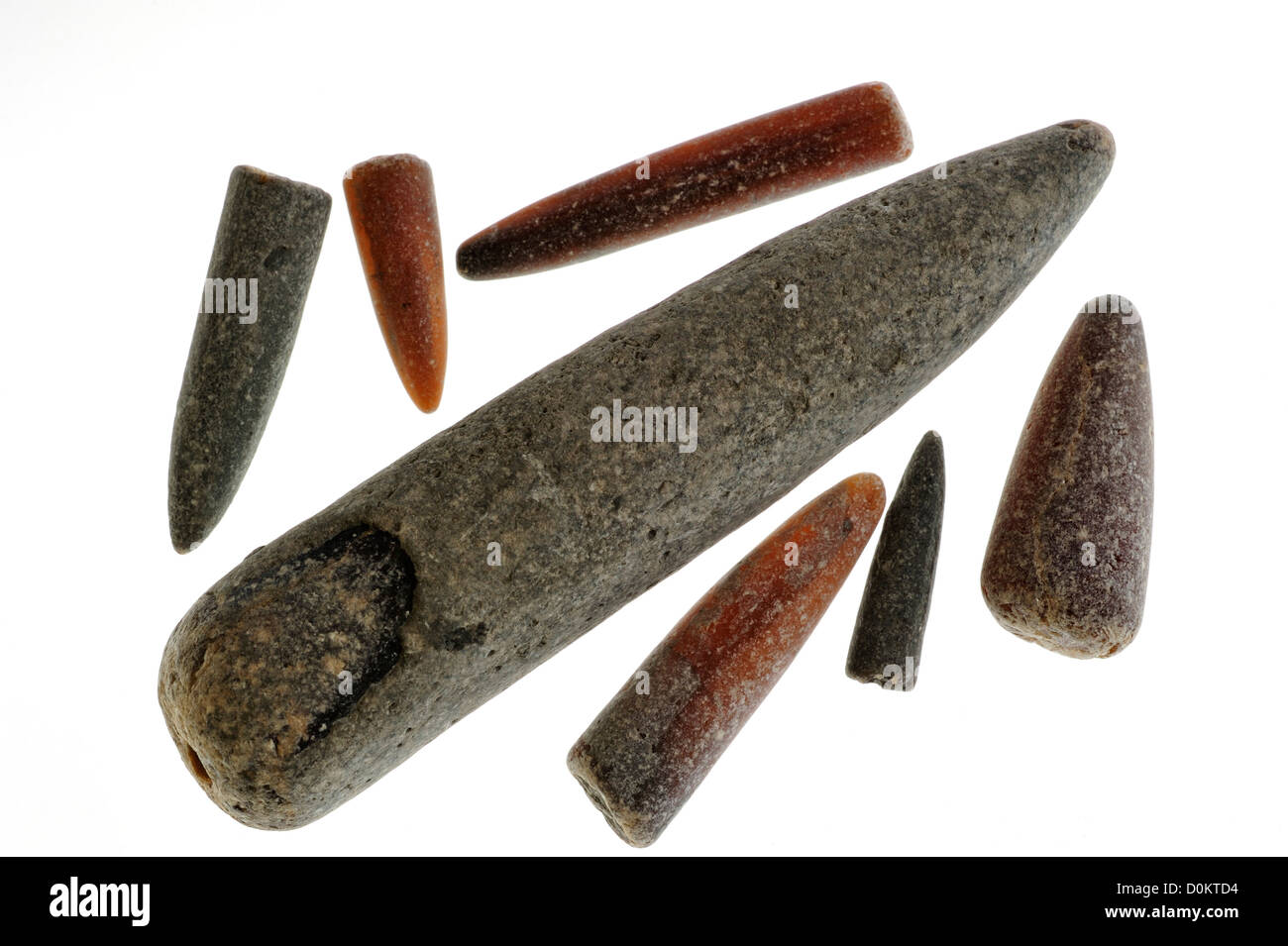 Collection of fossil guards of belemnites / Belemnitida from Lyme Regis ...