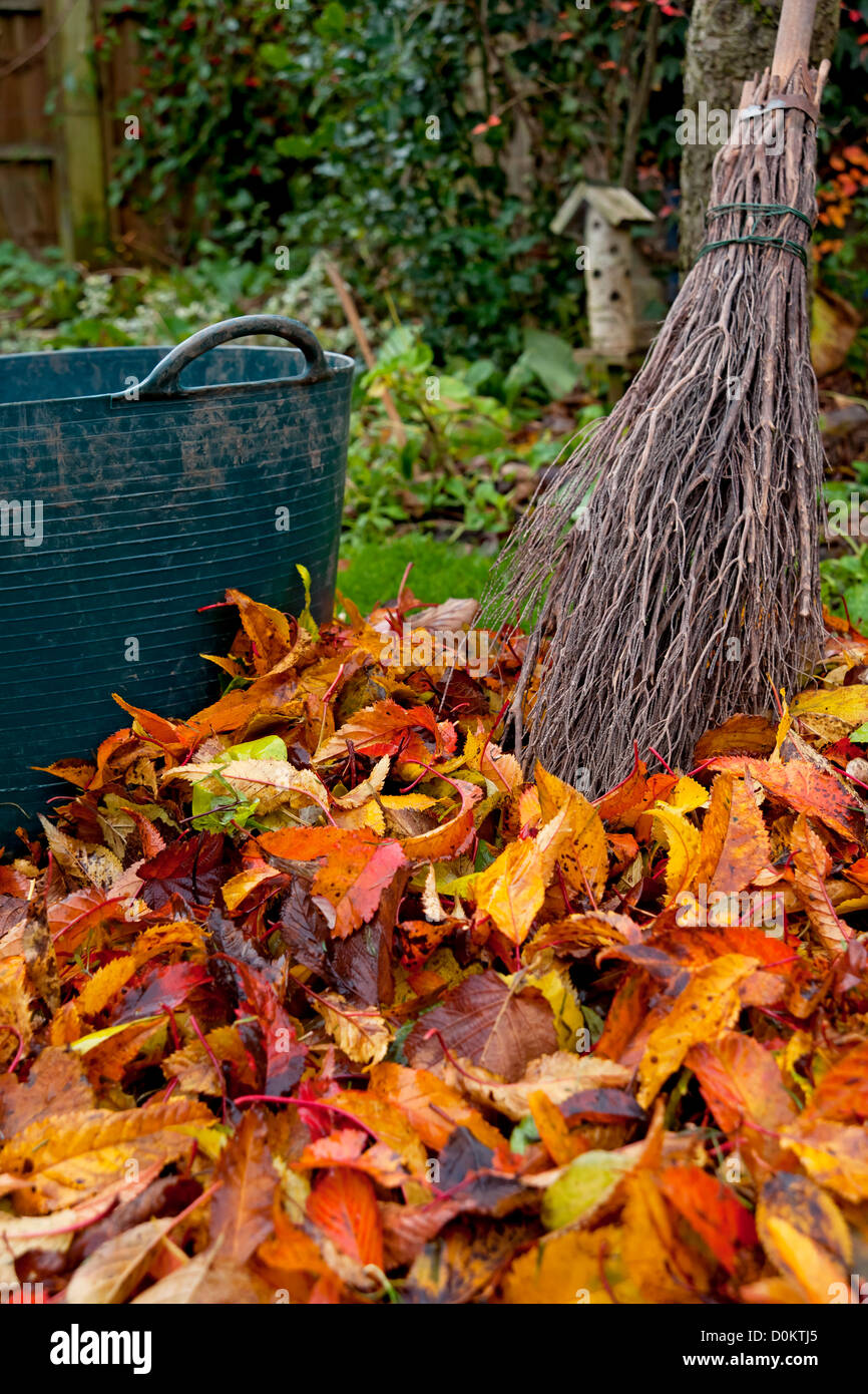 Close up of collecting sweeping tidying fallen autumn leaves on lawn ...