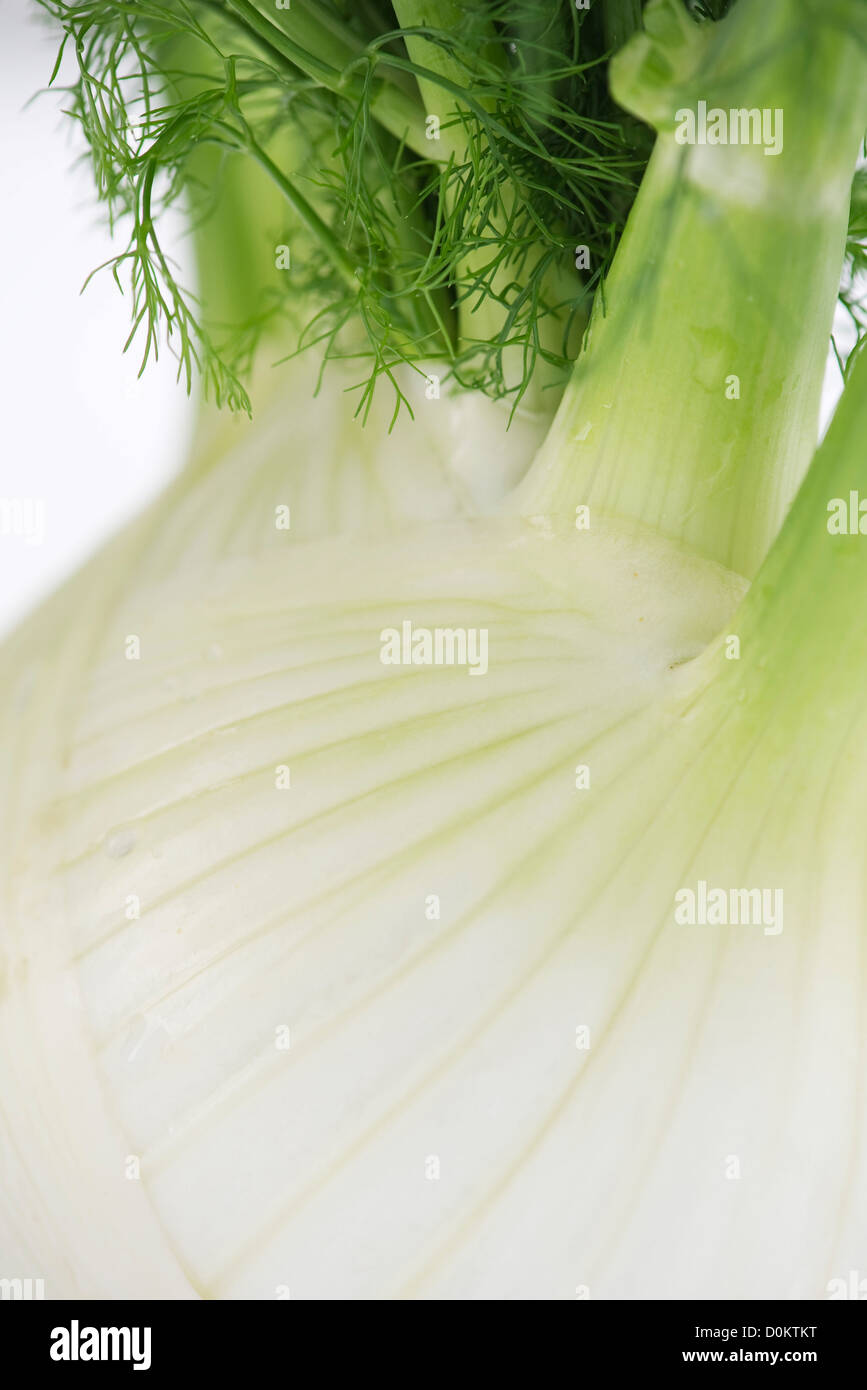 Fennel hi-res stock photography and images - Alamy