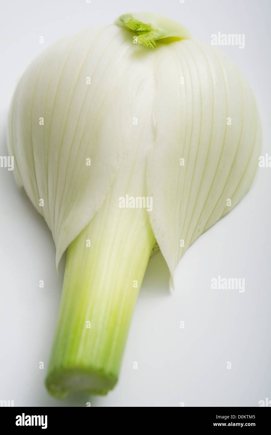 S fennel hi-res stock photography and images - Alamy