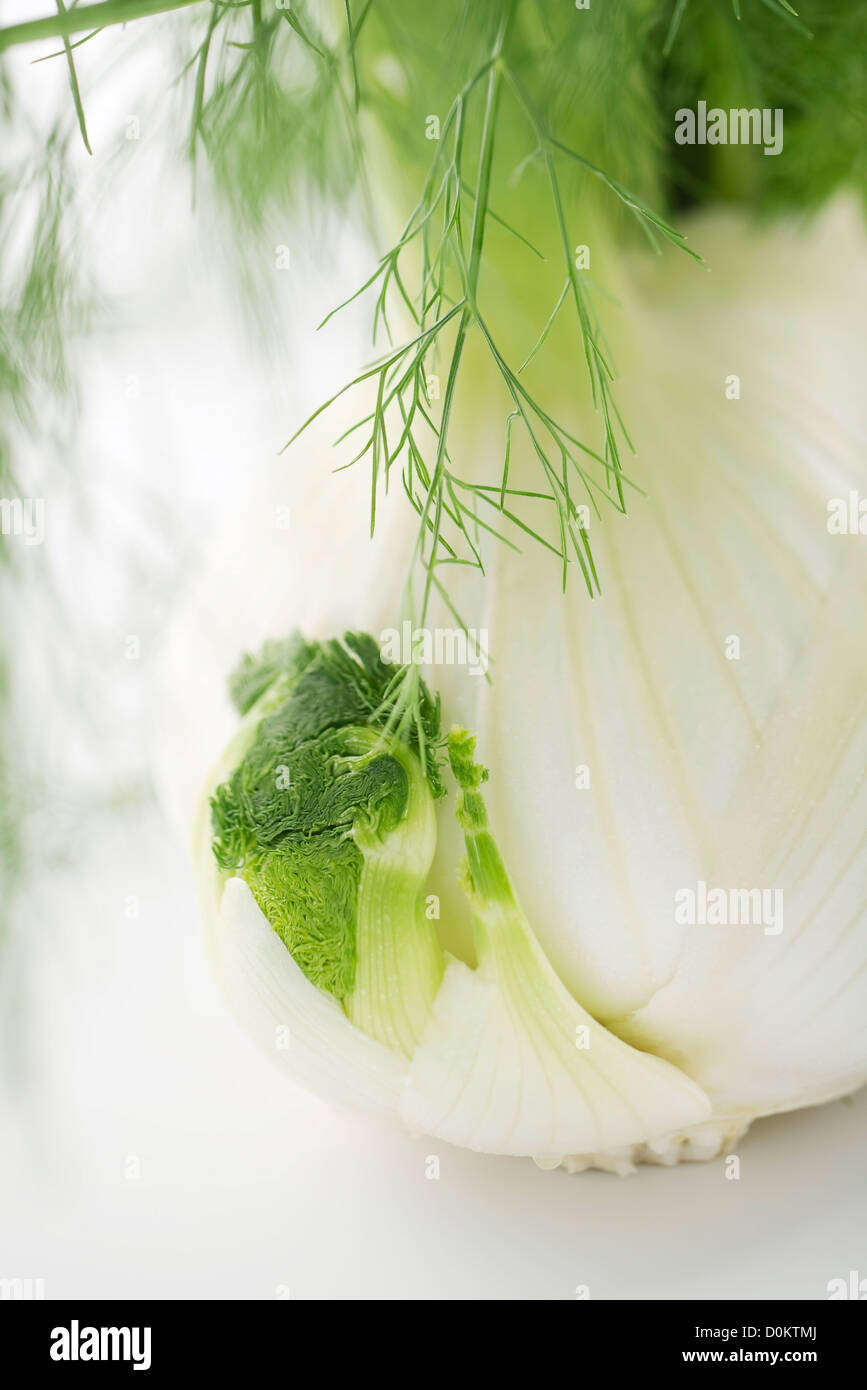 S fennel hi-res stock photography and images - Alamy
