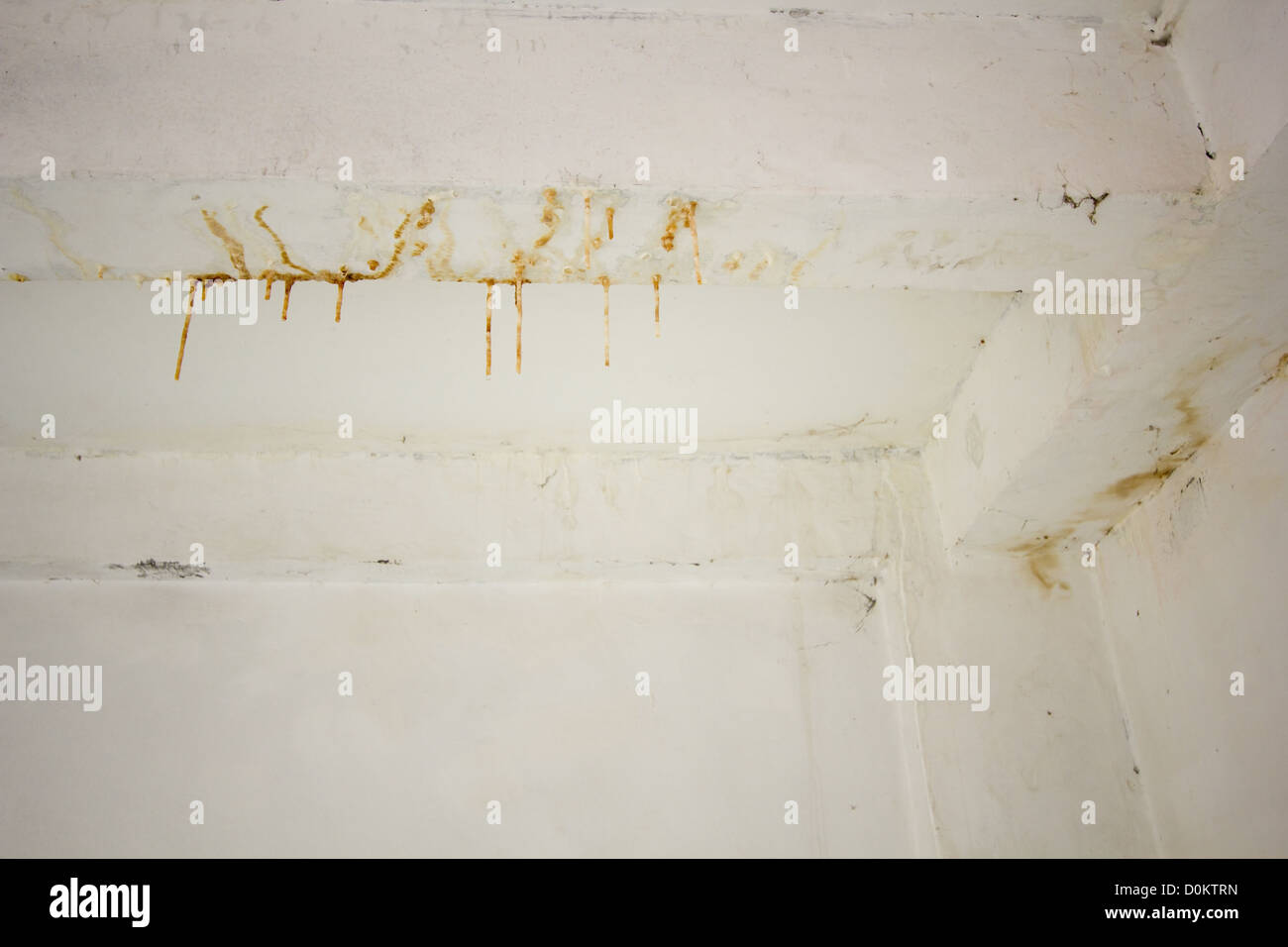 humidity on wall inside home Stock Photo - Alamy