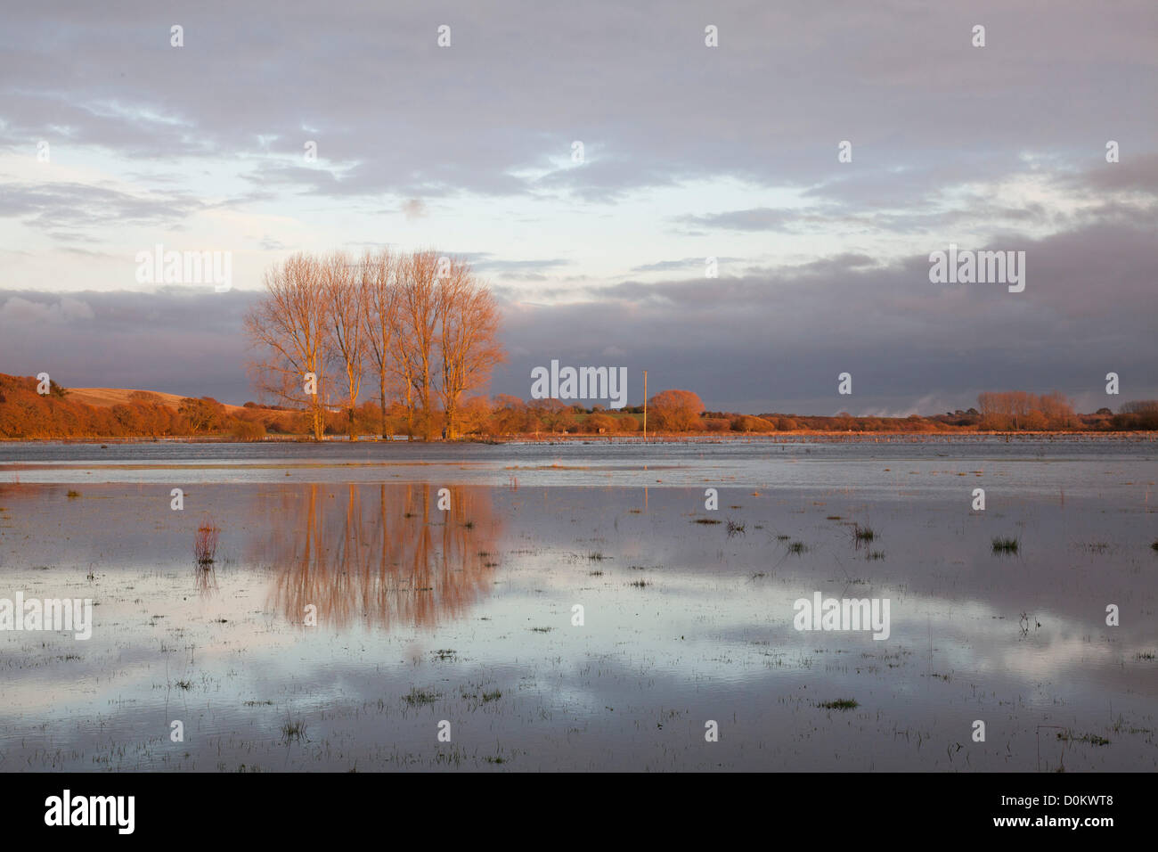 Wareham, UK. 27th November 2012. Fields lie under water from the ...