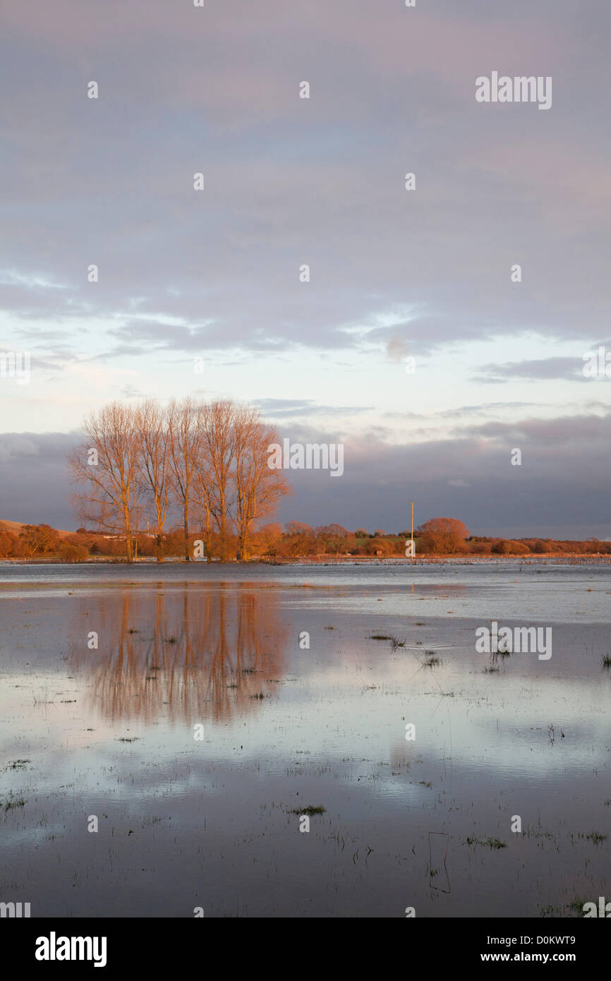 Wareham, UK. 27th November 2012. Fields lie under water from the ...