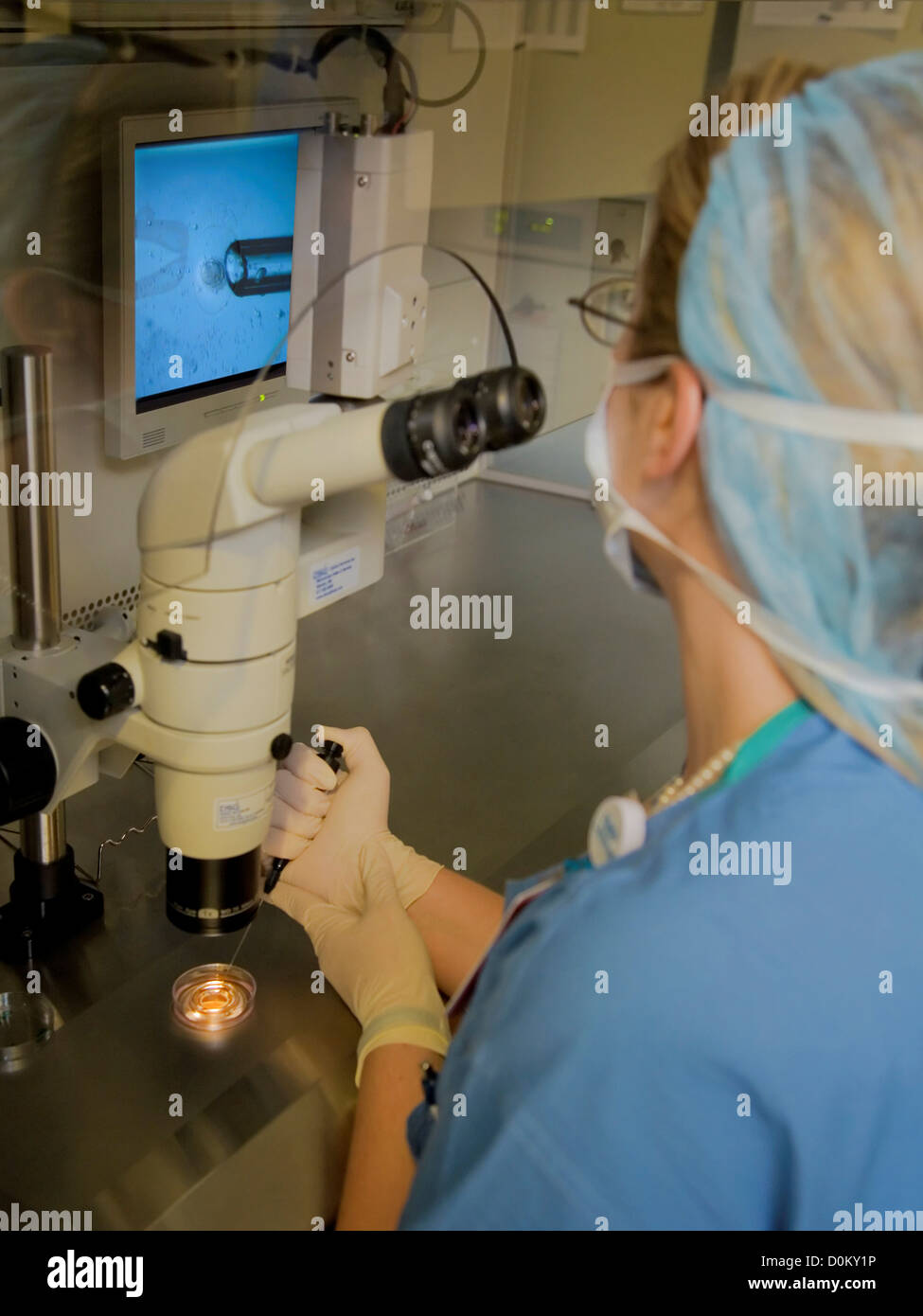 Embryologist Manipulating Egg Stock Photo - Alamy
