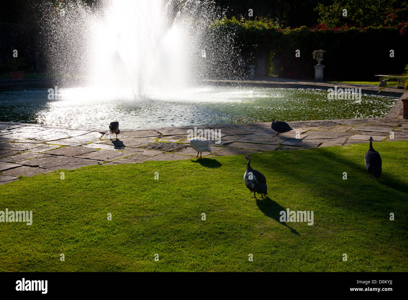 Ornamental features hi-res stock photography and images - Alamy