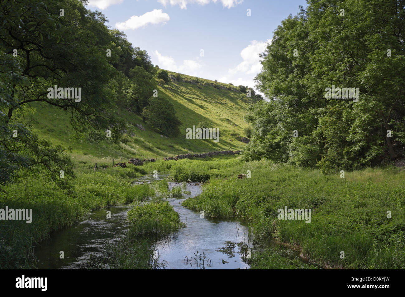River Lathkill Dale in the Derbyshire Peak District National park ...
