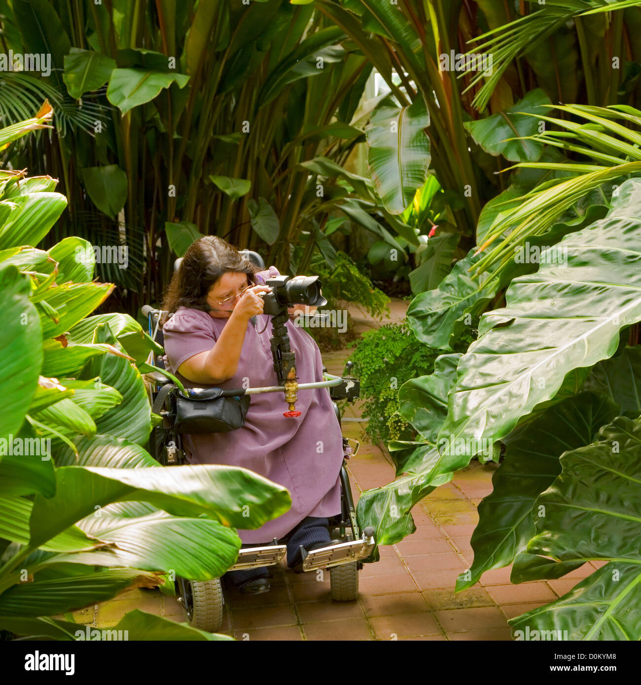 Disabled Woman Photographing Stock Photo - Alamy