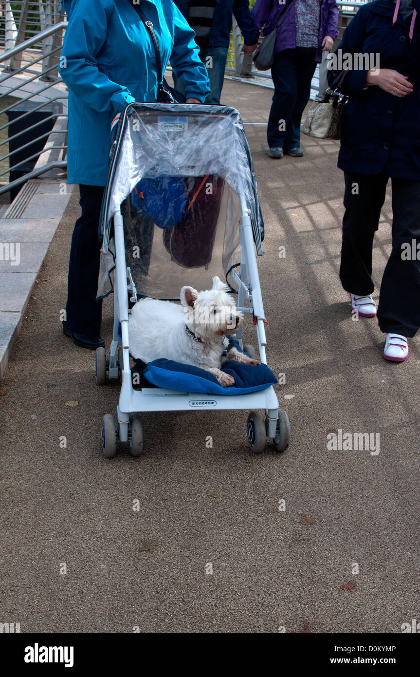 Pushchair hi-res stock photography and images - Alamy