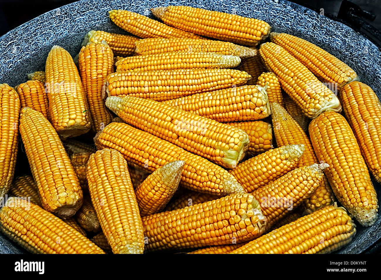 Corn boiled in a large pot, at a fair with traditional romanian food ...