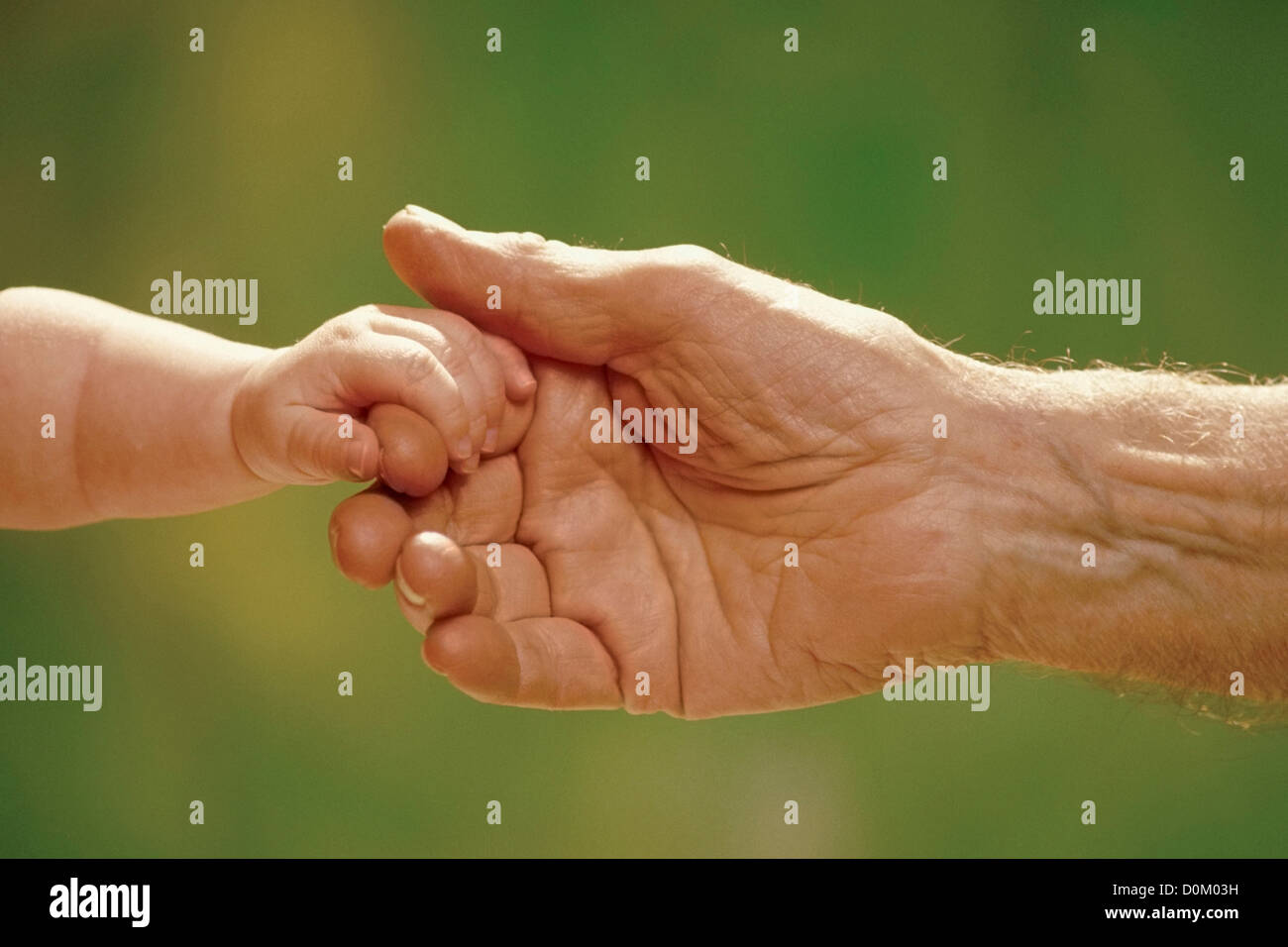 Infant Gripping Elderly Finger Stock Photo - Alamy