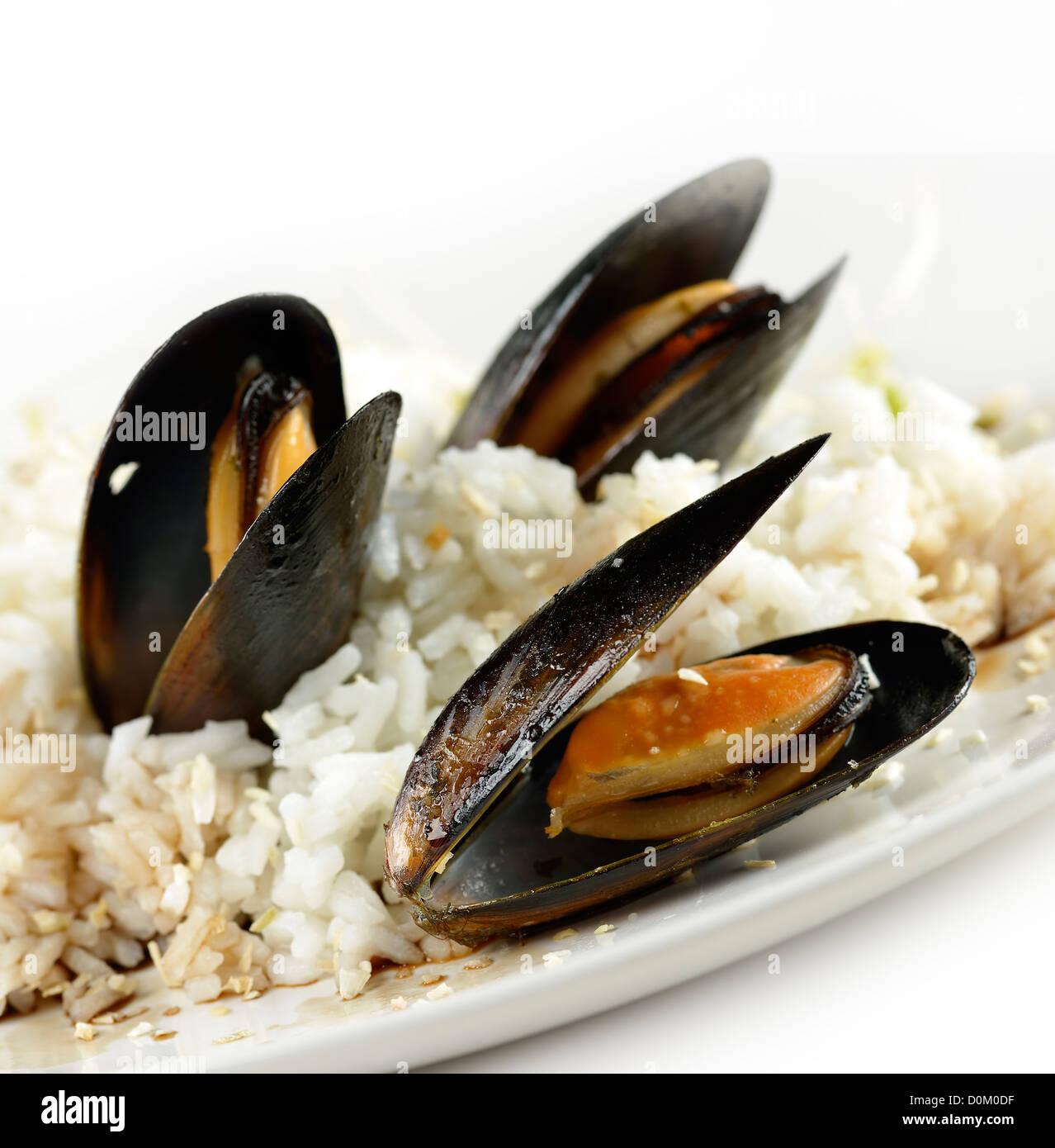 Cooked Mussels With Sauce And Rice Stock Photo - Alamy