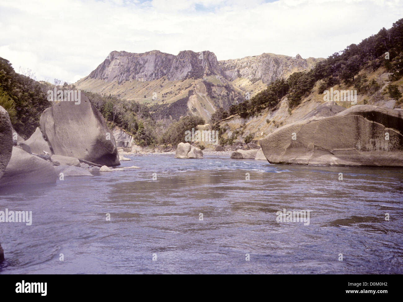 River Rafting,Rapids,Inflatable Dingy,Mohaka River,Major River Napier ...