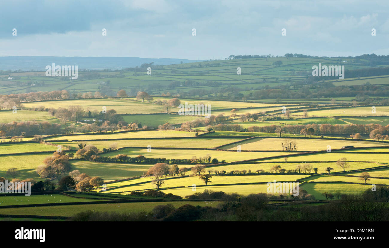 Green fields of devon hi-res stock photography and images - Alamy