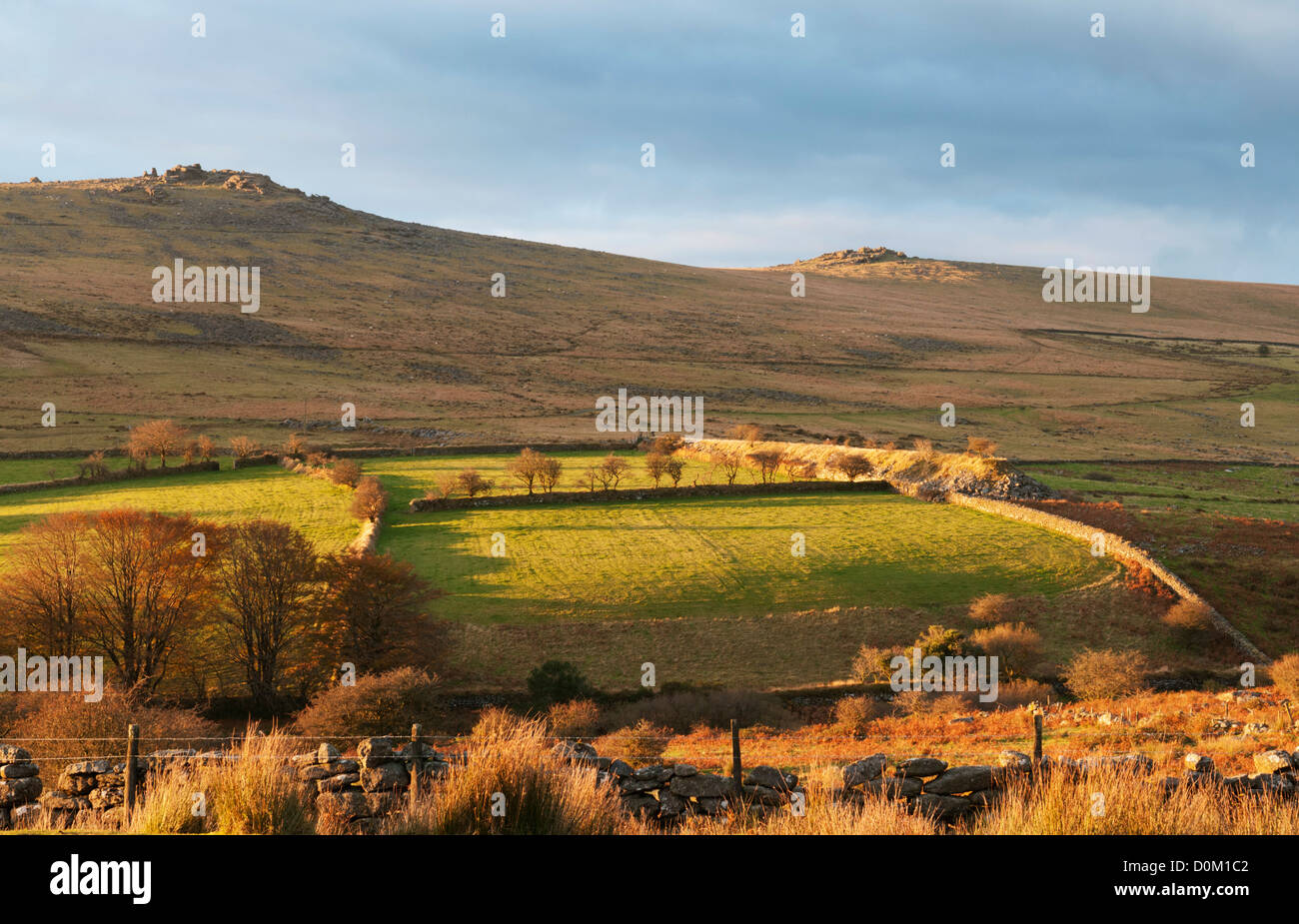Late afternoon sun lighting up enclosed fields on Dartmoor, Devon UK ...