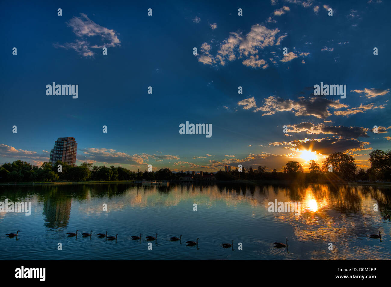 Sunset over City Park, Denver, Colorado with Geese in the foreground ...