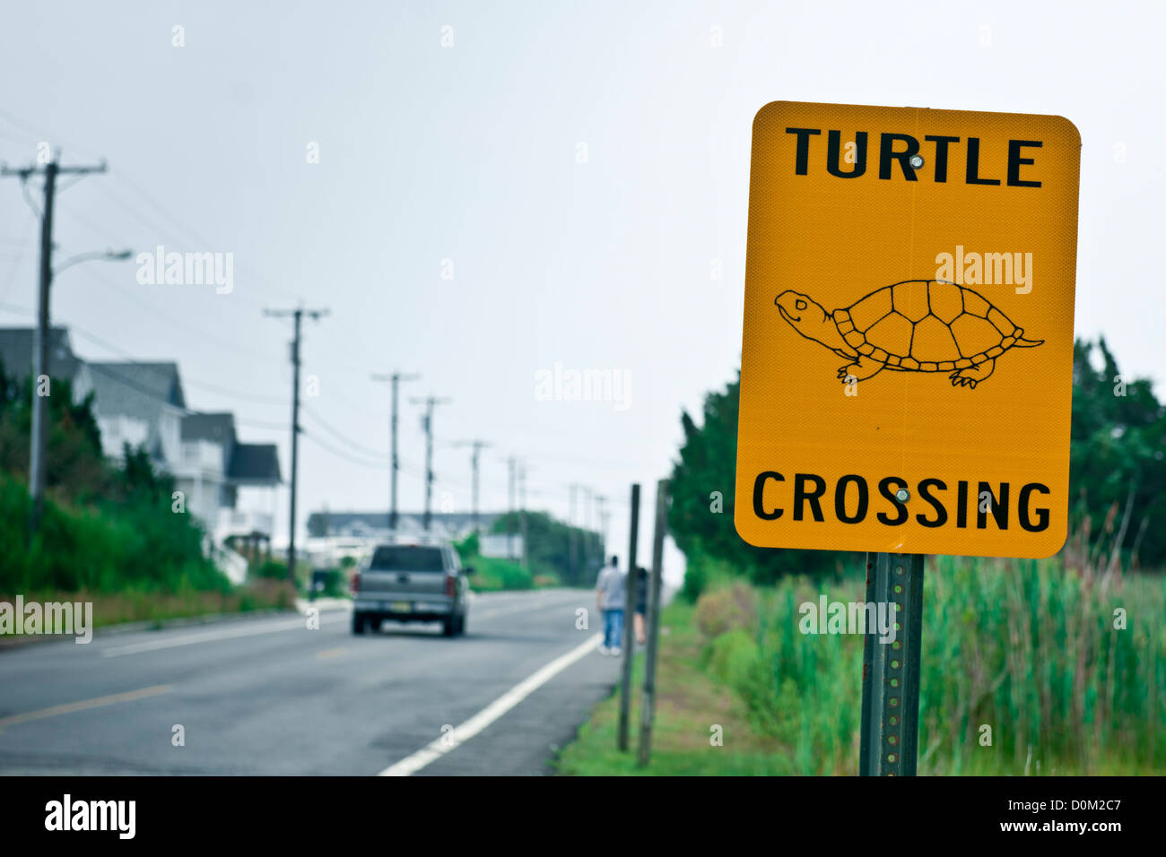 Turtle Crossing sign, Atlantic City, NJ Stock Photo - Alamy