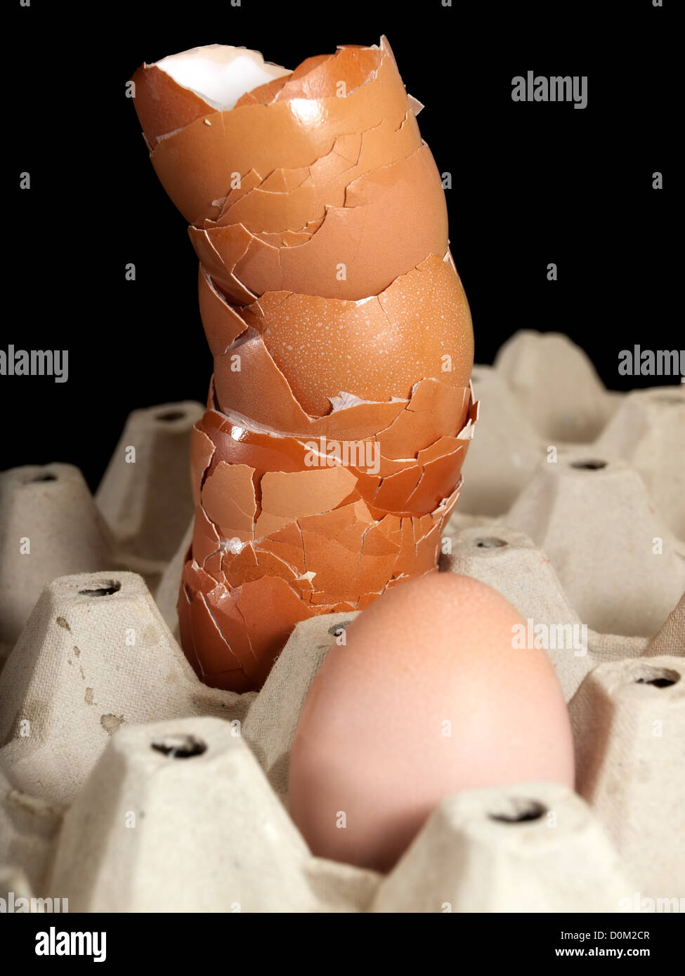 Egg shells and one whole egg in the carton Stock Photo - Alamy