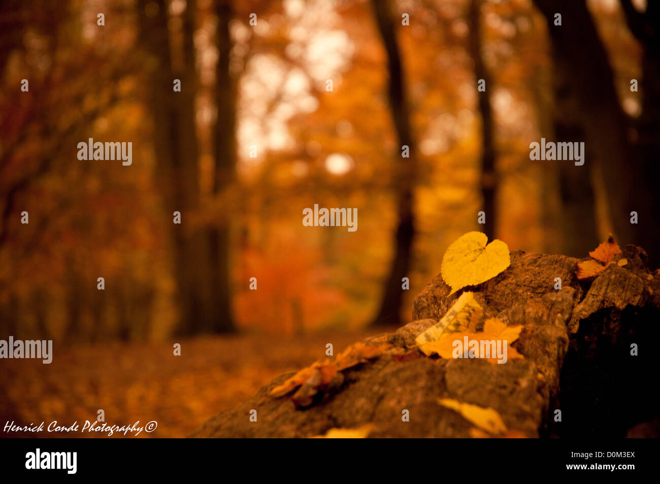 Lonely heart hi-res stock photography and images - Alamy