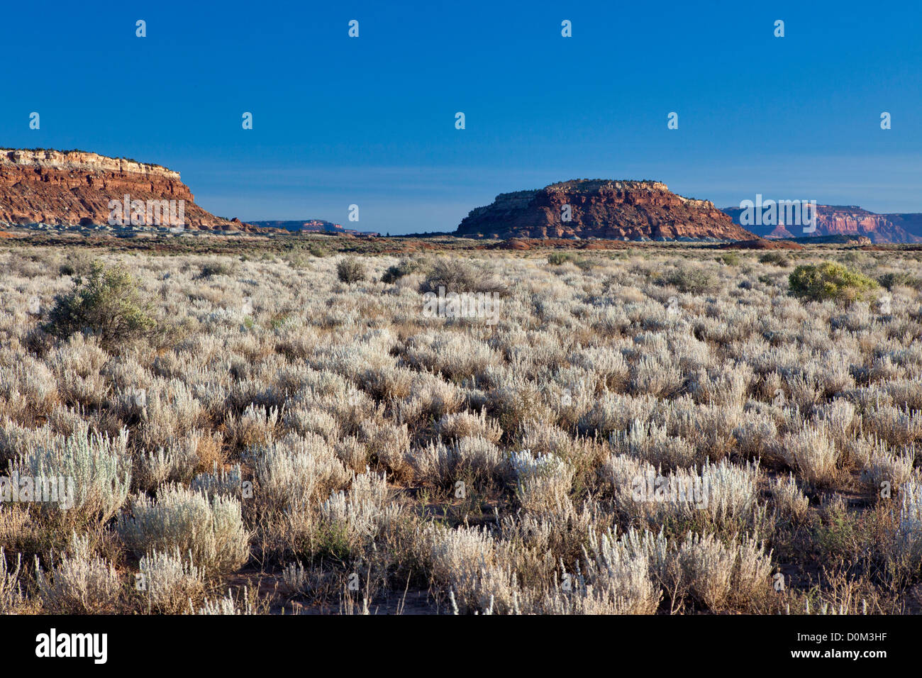Pipe Springs National Monument, Arizona Stock Photo - Alamy