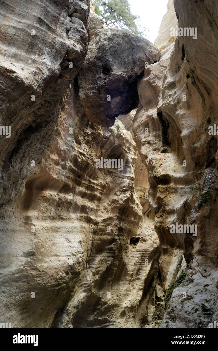 Large rock trapped falling into Avakas gorge (Avgas gorge Stock Photo ...
