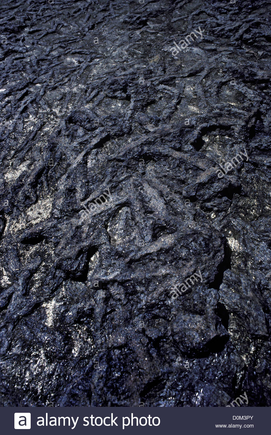 Worm Burrows Stock Photos & Worm Burrows Stock Images - Alamy