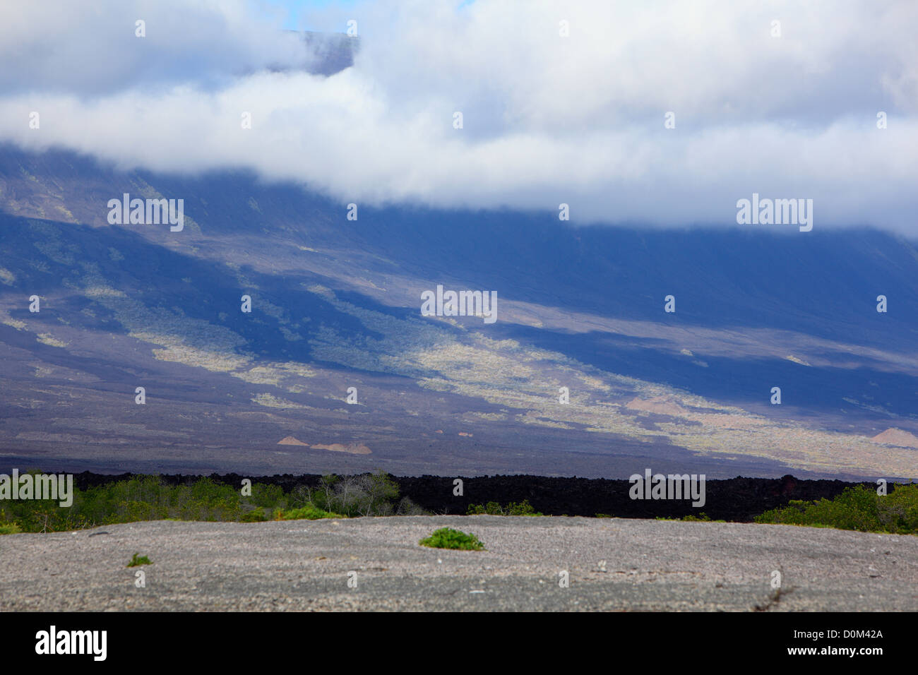 Fernandina volcano hi-res stock photography and images - Alamy