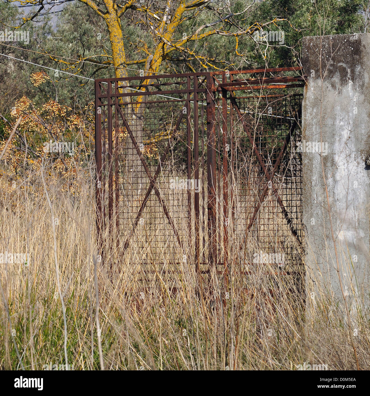 Vintage rusty metal gate and overgrown plants. Ruins in rural landscape ...