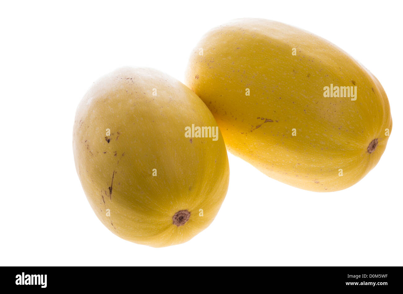 Two ripe harvested spaghetti squash isolated on white Stock Photo - Alamy
