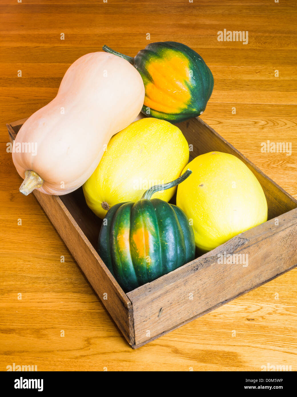 Freshly harvested winter squash hi-res stock photography and images - Alamy